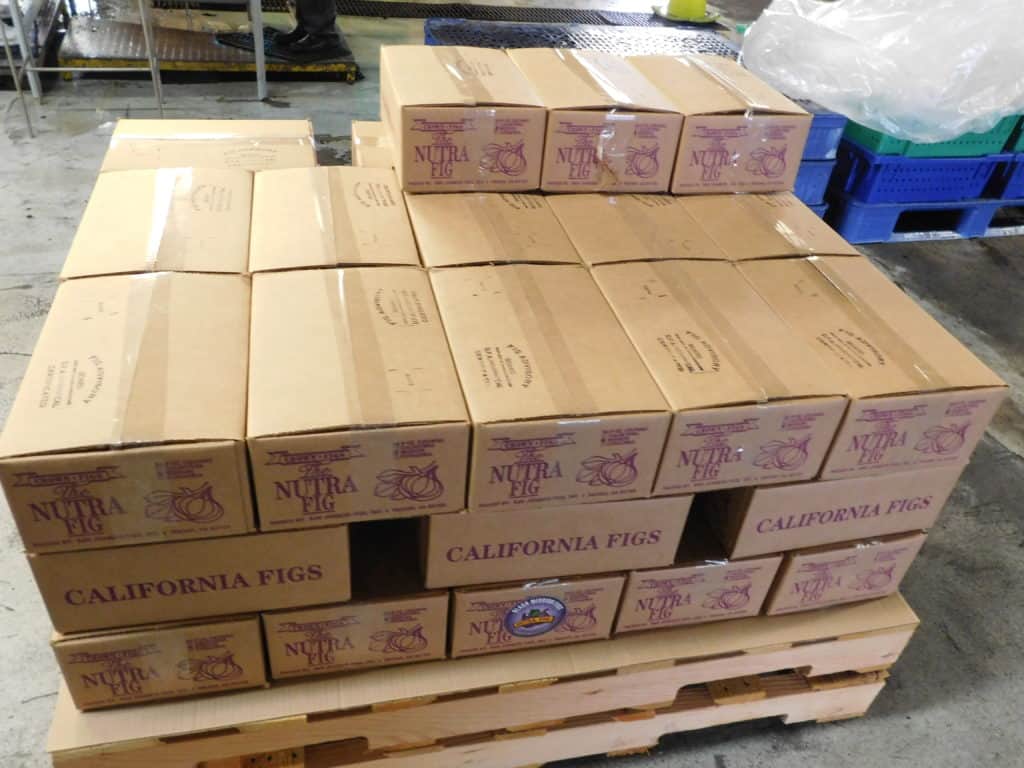 Dried Fig Processing