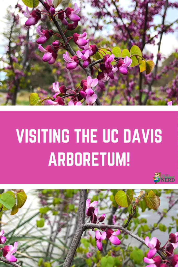 Visiting the UC Davis Arboretum! - The Produce Nerd