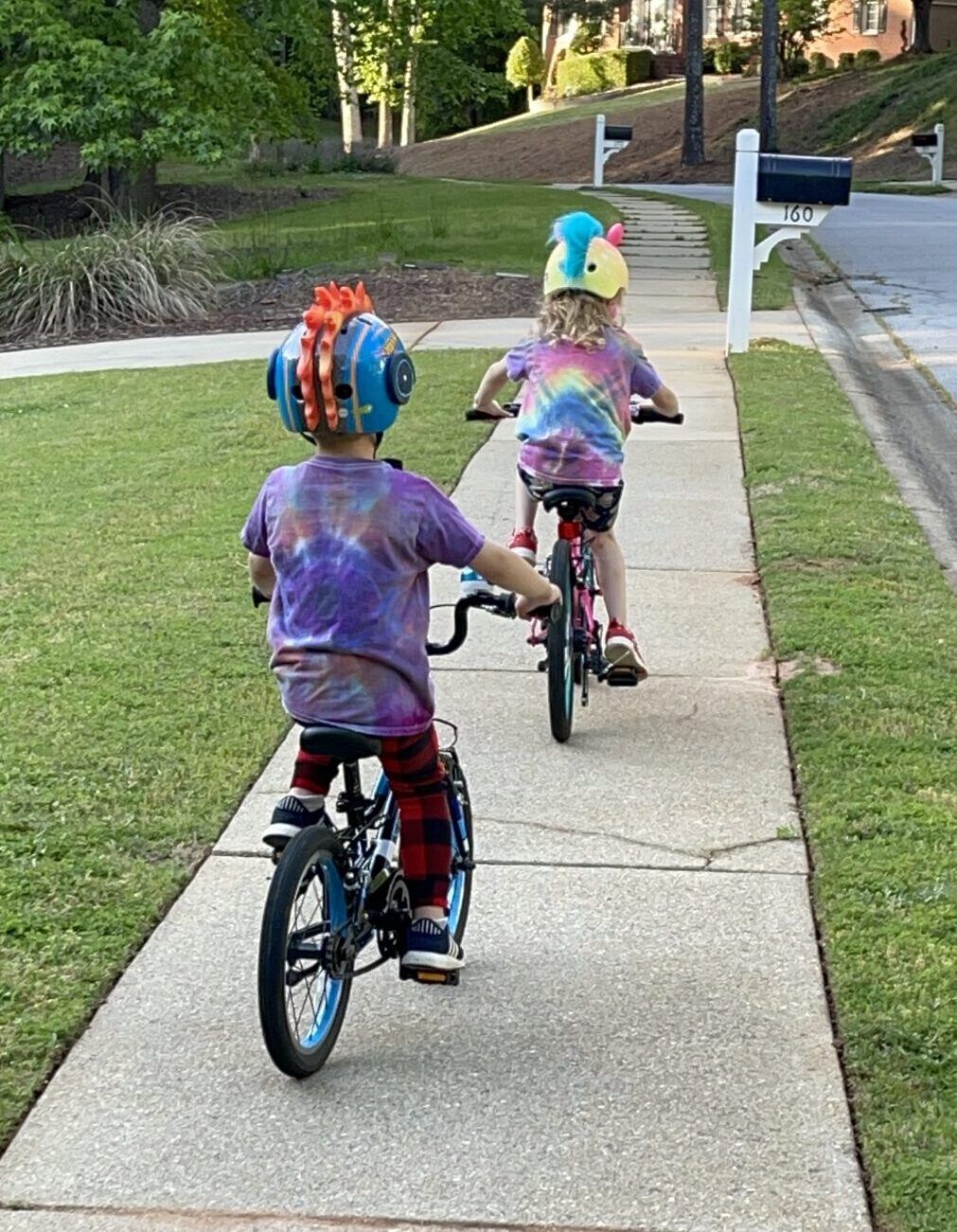 Pros and Cons of Guardian Bikes