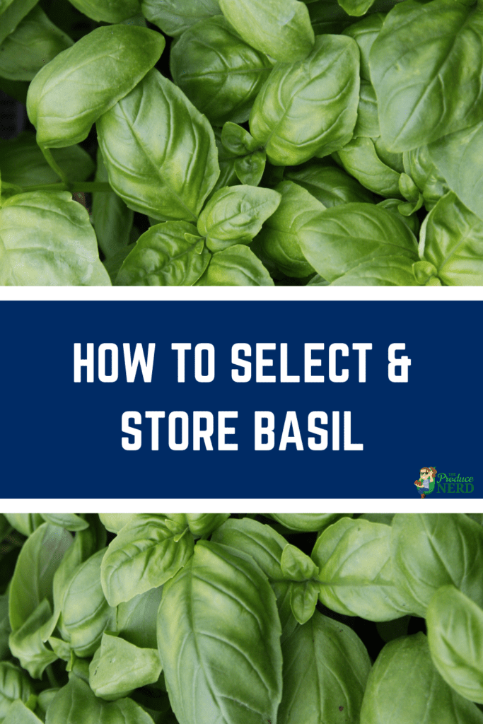 How to Select & Store Basil - The Produce Nerd
