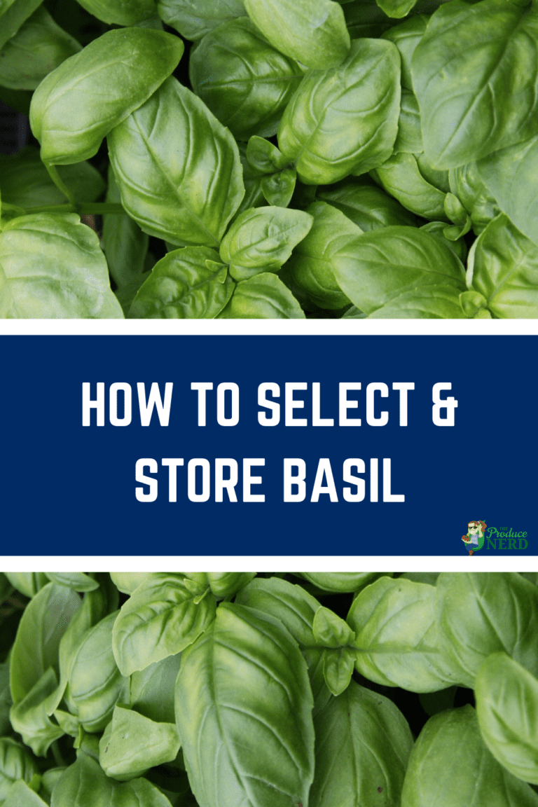 How to Select & Store Basil - The Produce Nerd
